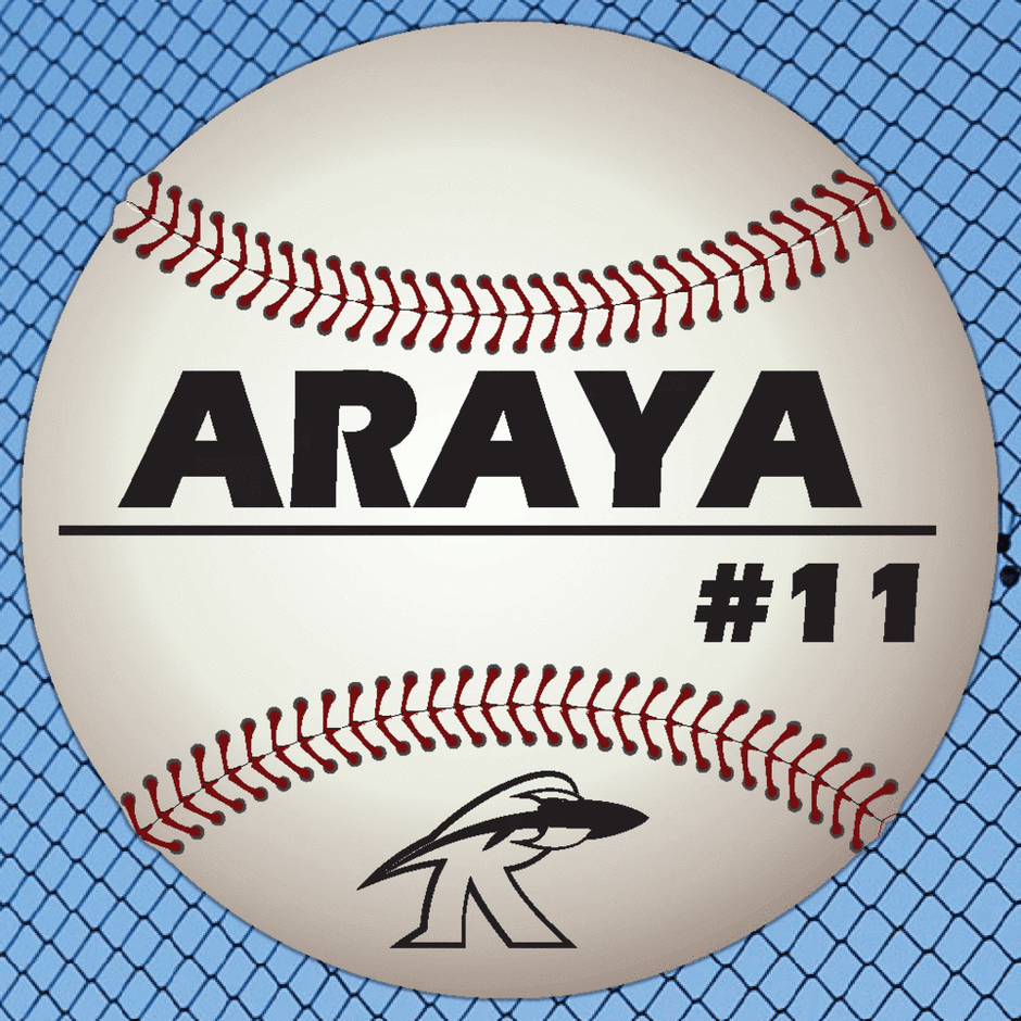 Custom Team Yard Signs | Personalize with Player and Team Names ...