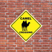 Camel Crossing Sign or Sticker | VictoryStore – VictoryStore.com