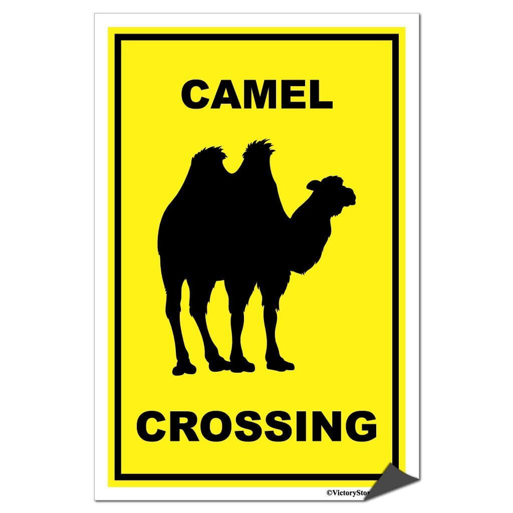 Camel Crossing Sign or Sticker | VictoryStore – VictoryStore.com