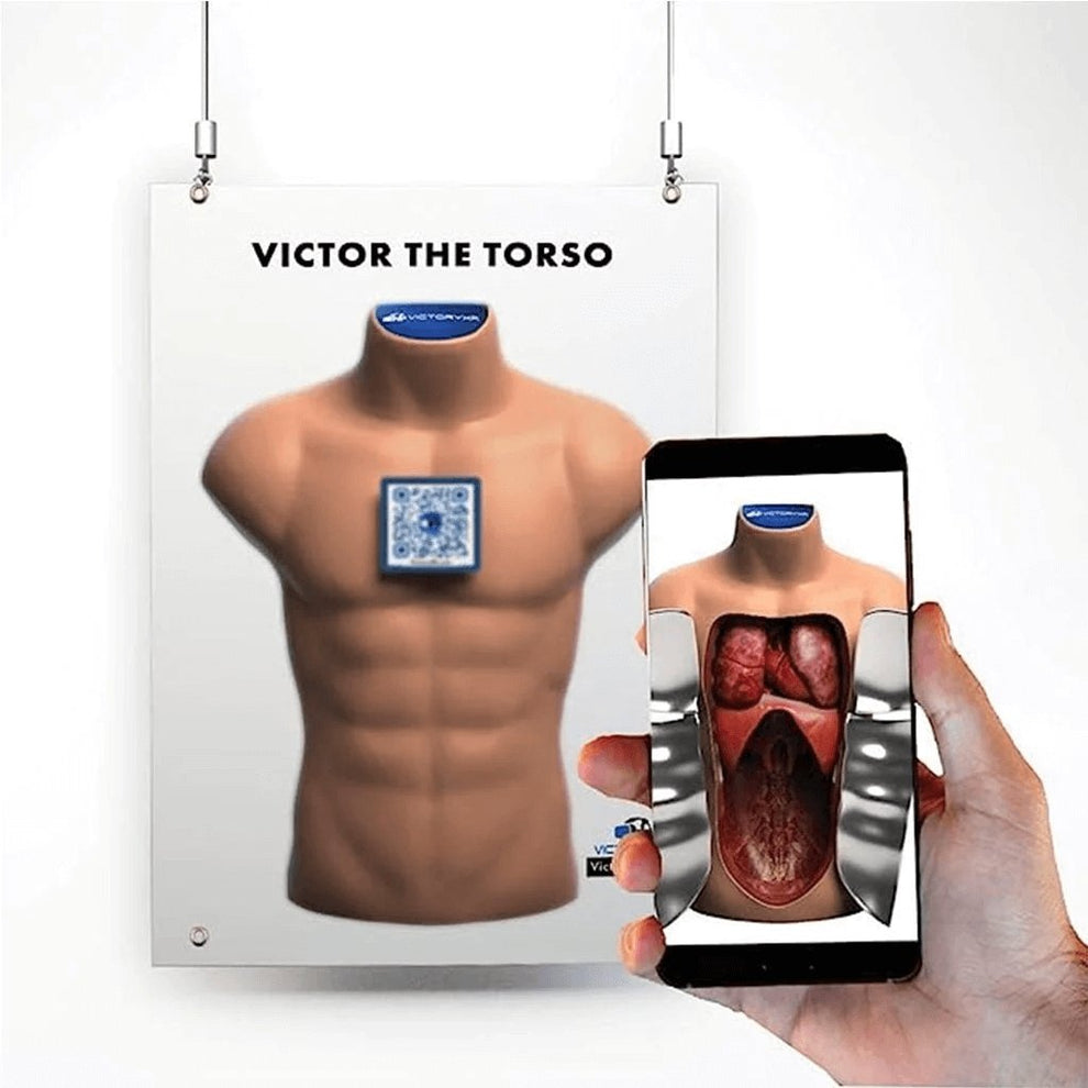 Human Anatomy Augmented Reality Bundle | VictoryXR – VictoryStore.com