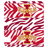 Iowa State Magnetic Mailbox Cover | Zebra Print – VictoryStore.com