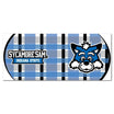Indiana State 15oz Coffee Mug | Plaid | VictoryStore – VictoryStore.com