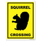 Squirrel Crossing Aluminum Sign or Sticker | VictoryStore ...