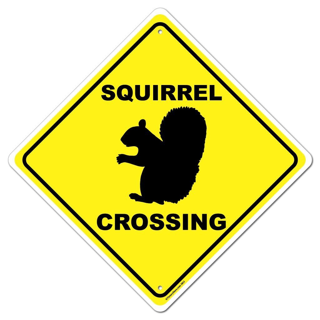 Squirrel Crossing Aluminum Sign or Sticker | VictoryStore ...