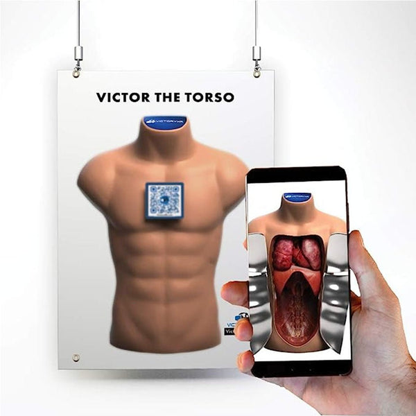 Victor The 2D Torso: Human Anatomy Augmented Reality Learning Package ...