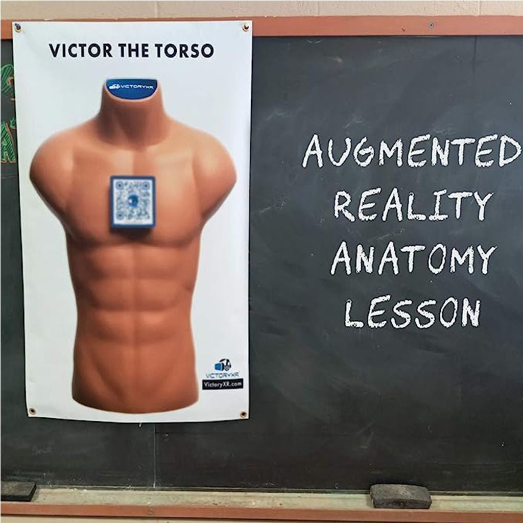 Victor The 2D Torso: Human Anatomy Augmented Reality Learning Package ...