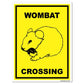 Wombat Crossing Sign or Sticker | VictoryStore – VictoryStore.com